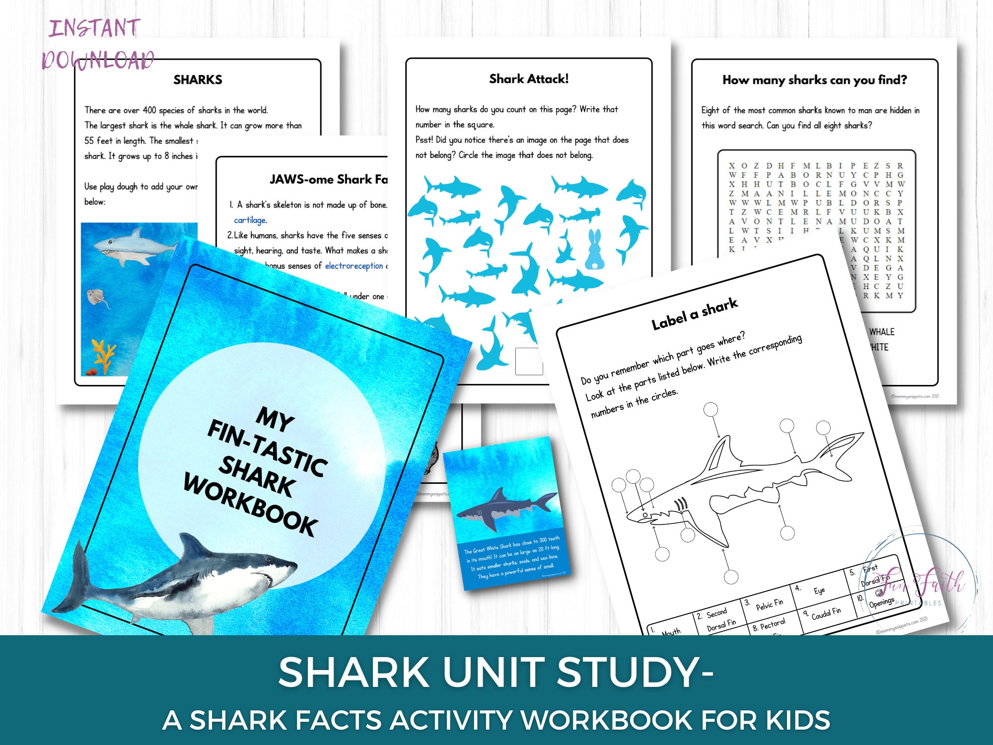 Sharks Unit Study, Shark Facts Workbook, Shark Nature Study, Shark ...