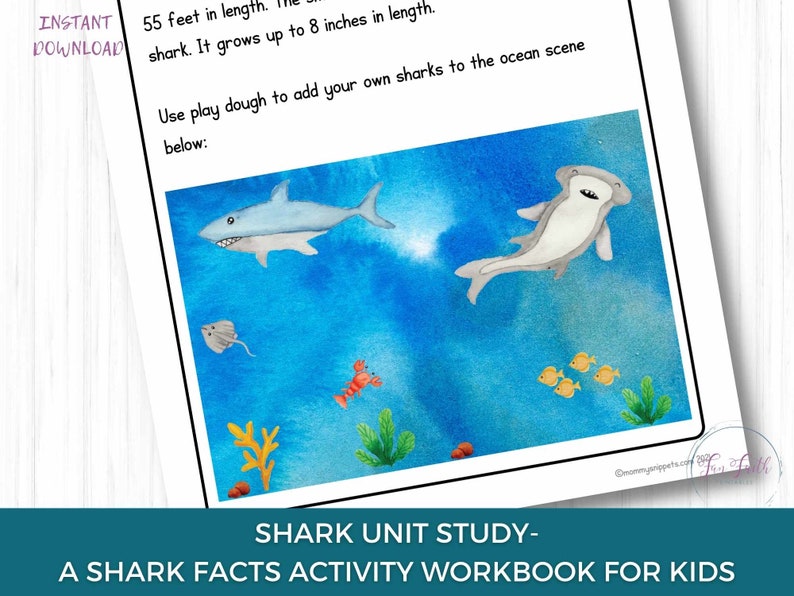 Sharks Unit Study, Shark Facts Workbook, Shark Nature Study, Shark ...