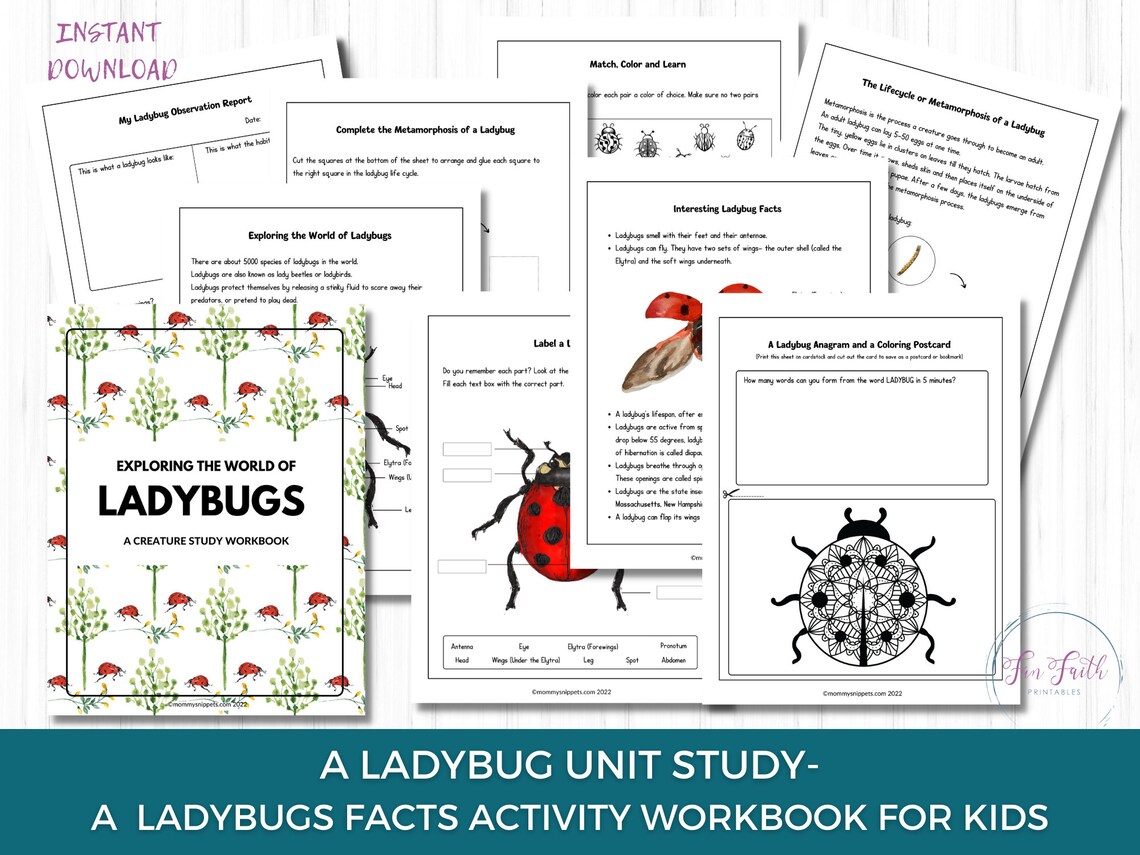 Printable Ladybug Unit Study Ladybug Facts Workbook Life - Etsy