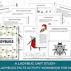 Printable Ladybug Unit Study Ladybug Facts Workbook Life - Etsy