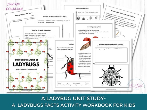 Printable Ladybug Unit Study Ladybug Facts Workbook Life - Etsy