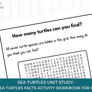 Sea Turtles Unit Study, Sea Turtles Facts Workbook, Life Cycle of a Sea ...