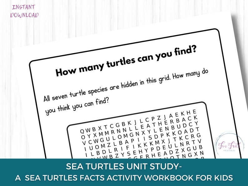 Sea Turtles Unit Study, Sea Turtles Facts Workbook, Life Cycle of a Sea ...