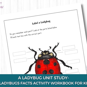 Printable Ladybug Unit Study, Ladybug Facts Workbook, Life Cycle of a ...
