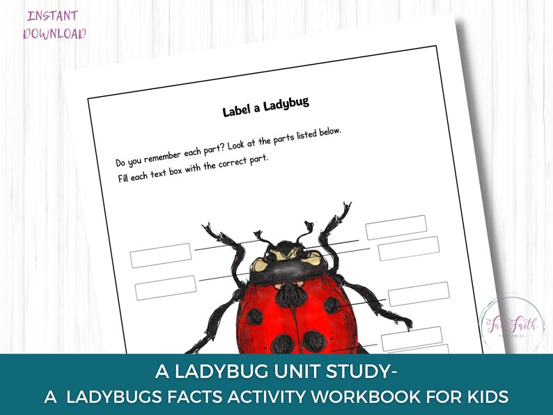Printable Ladybug Unit Study, Ladybug Facts Workbook, Life Cycle of a ...