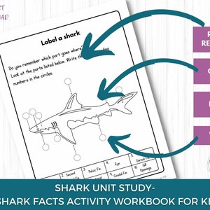 Sharks Unit Study, Shark Facts Workbook, Shark Nature Study, Shark ...