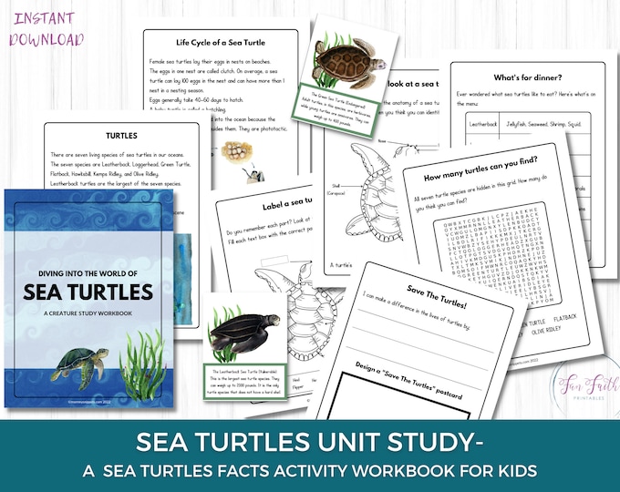 Life Cycle of a Sea Turtle Letter and Word Tracing / Handwriting ...
