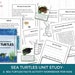Sea Turtles Unit Study, Sea Turtles Facts Workbook, Life Cycle of a Sea ...
