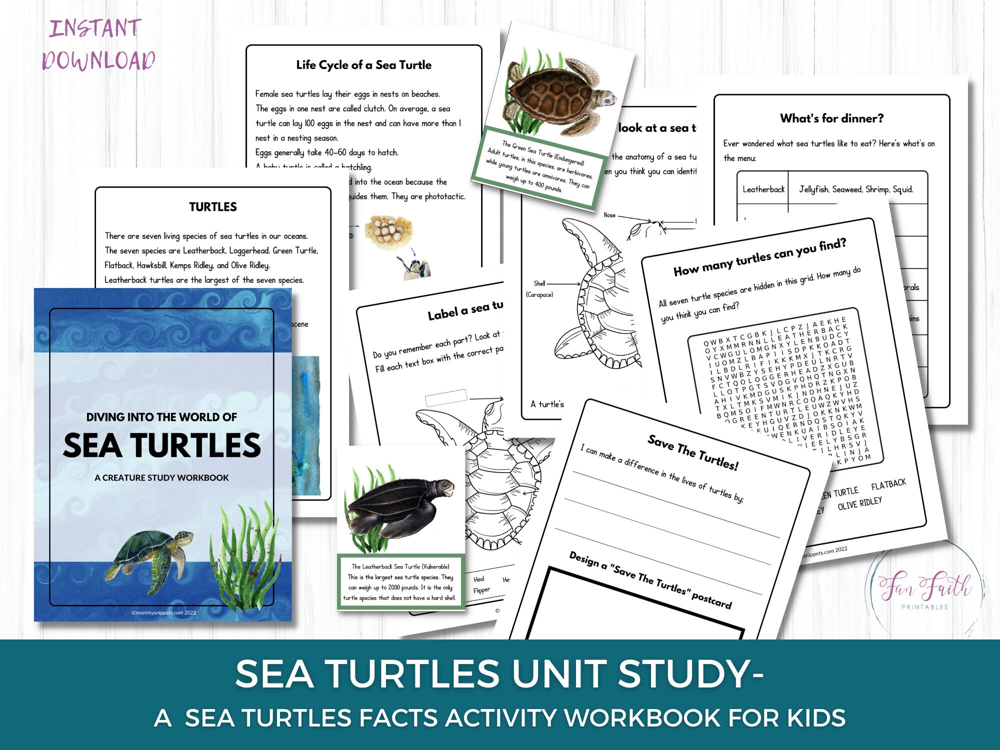 Sea Turtles Unit Study, Sea Turtles Facts Workbook, Life Cycle of a Sea ...