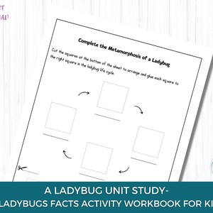 Printable Ladybug Unit Study, Ladybug Facts Workbook, Life Cycle of a ...