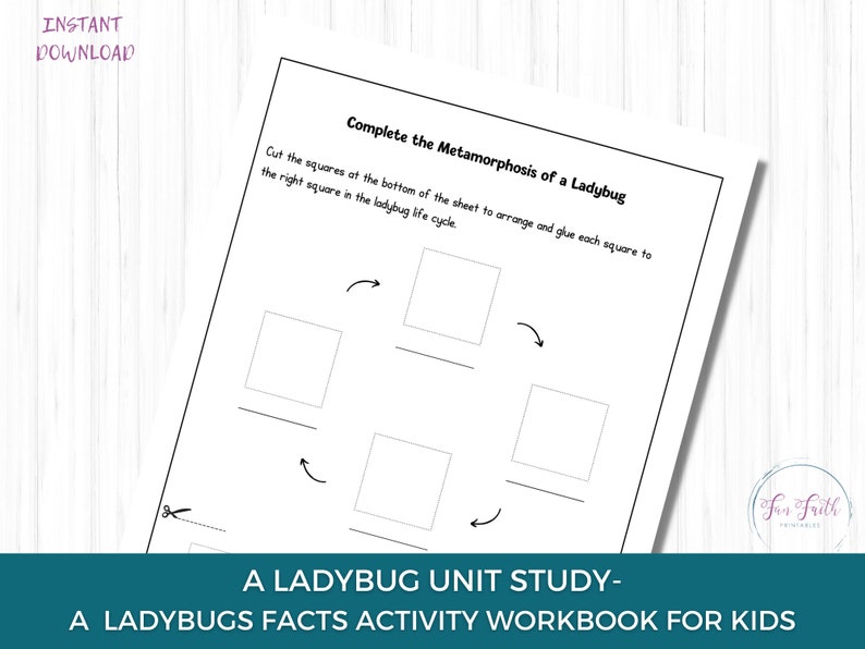 Printable Ladybug Unit Study, Ladybug Facts Workbook, Life Cycle of a ...