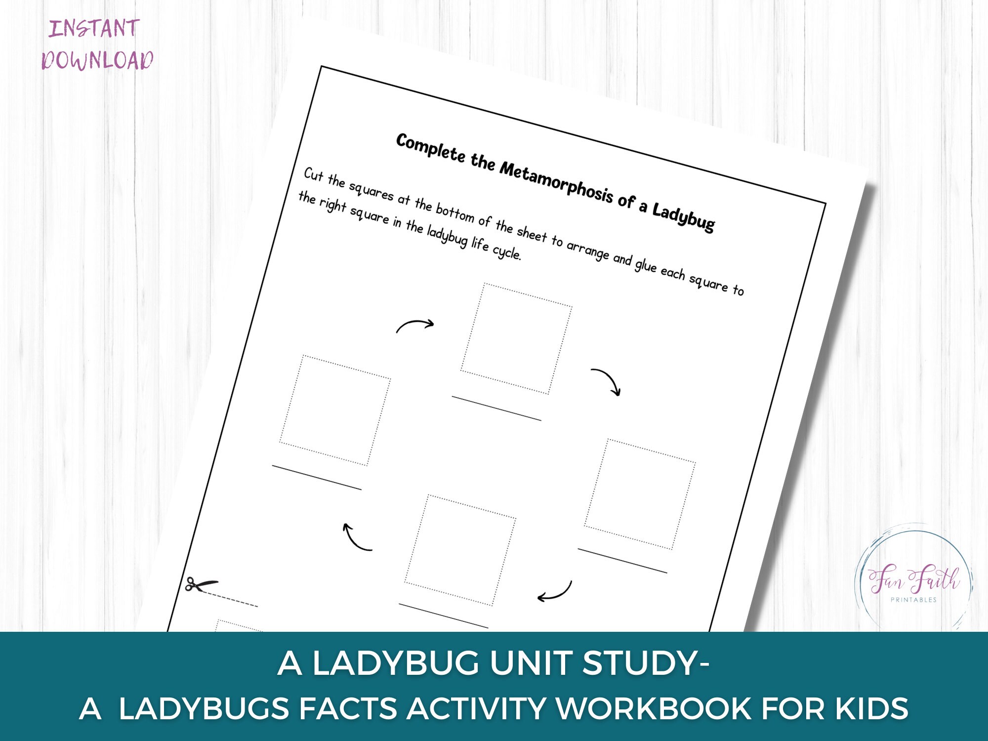 Printable Ladybug Unit Study, Ladybug Facts Workbook, Life Cycle of a ...