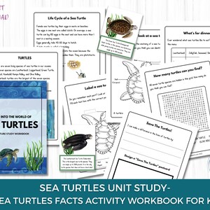 Sea Turtles Unit Study Sea Turtles Facts Workbook Life Cycle - Etsy