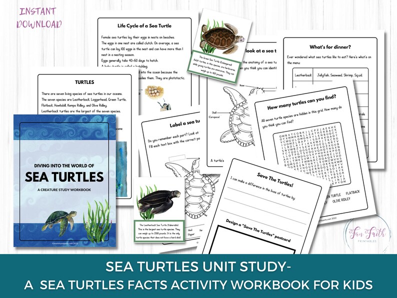 Sea Turtles Unit Study Sea Turtles Facts Workbook Life Cycle - Etsy