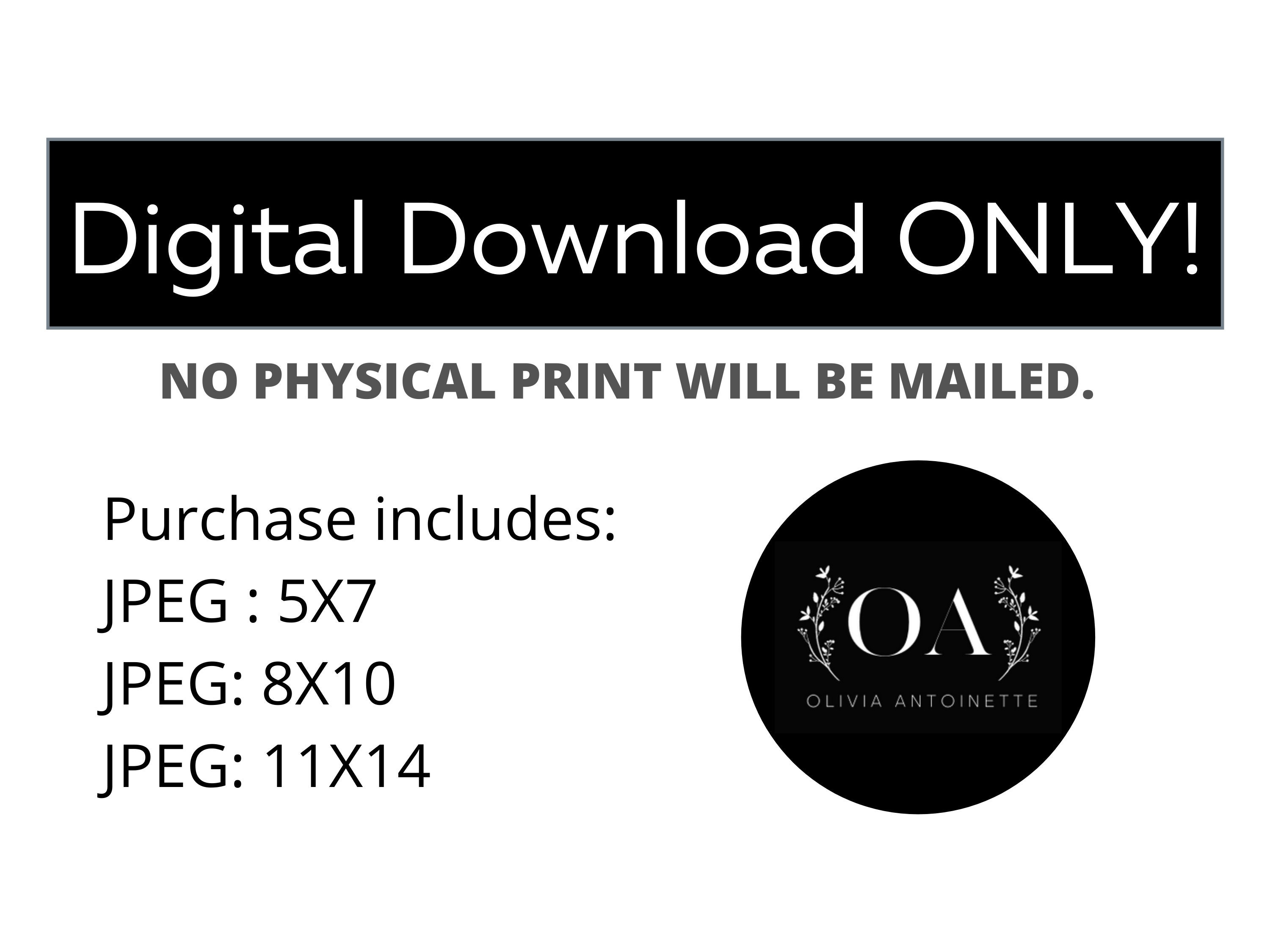 Floral Dancer Silhouette - DOWNLOADABLE PRINT, Firebird, Dance ...