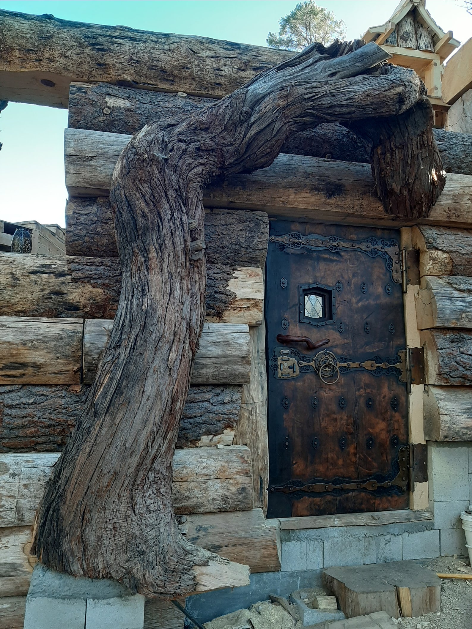 Custom Ironwood Castle Door - Etsy