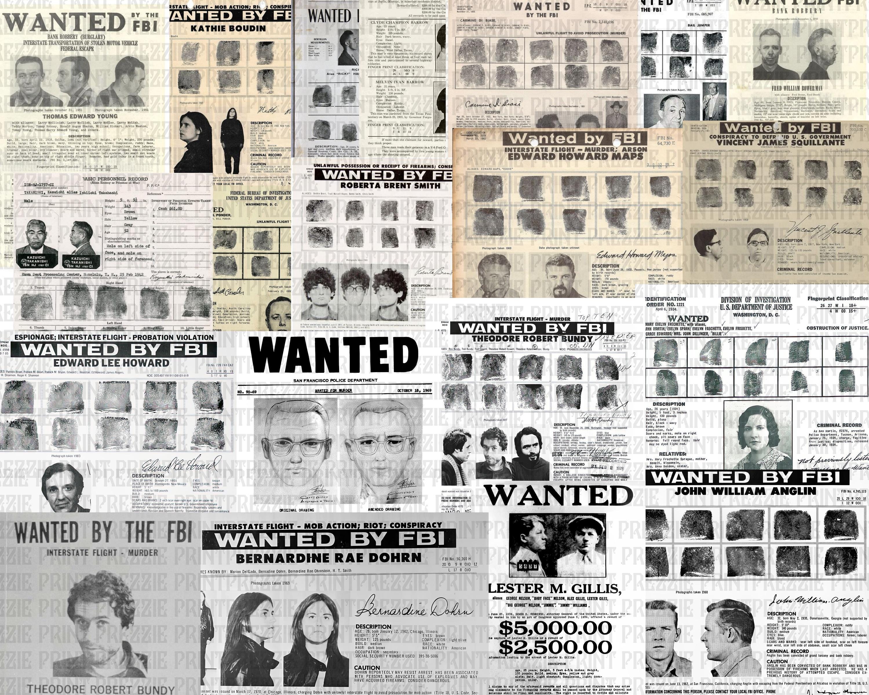Vintage Wanted Posters: 22 Printable True Crime Ephemera (digital ...
