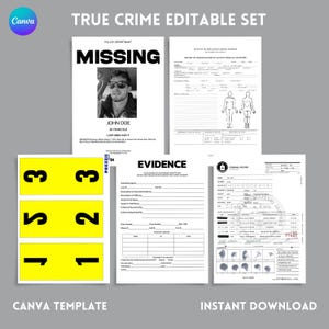 Printable Criminal Record Template: DIY Personalized CSI File (canva ...