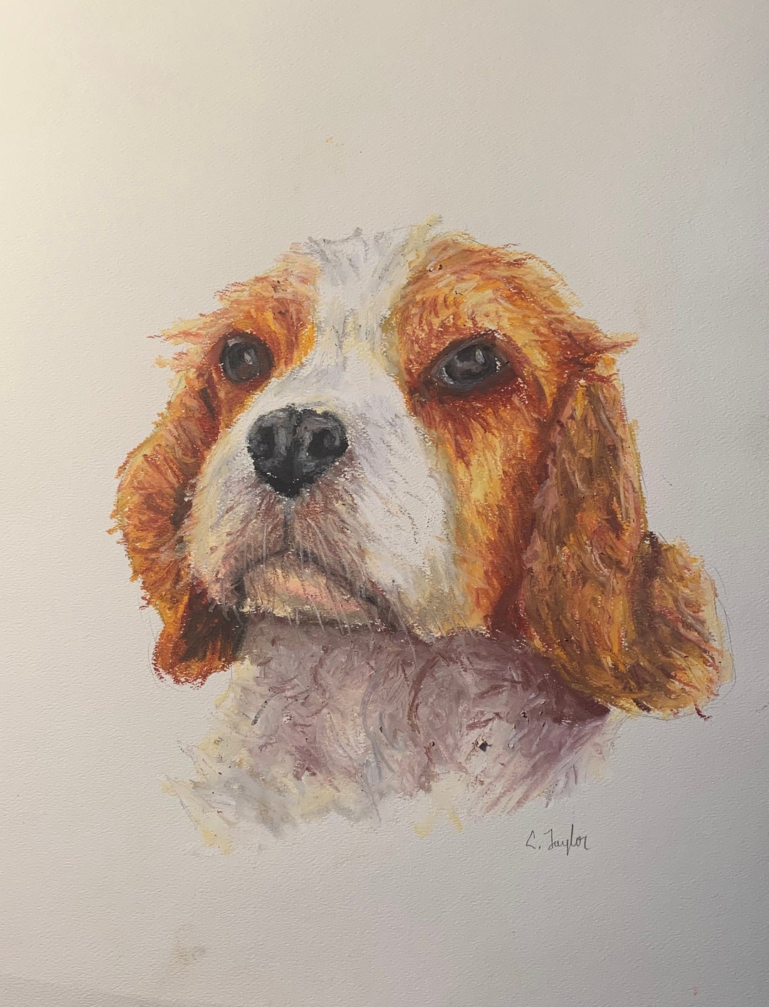 Custom Pet Portrait, Oil Pastel Portrait, Dog Illustration - Etsy