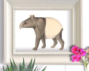 Tapir Animal Print A4 Size - Etsy