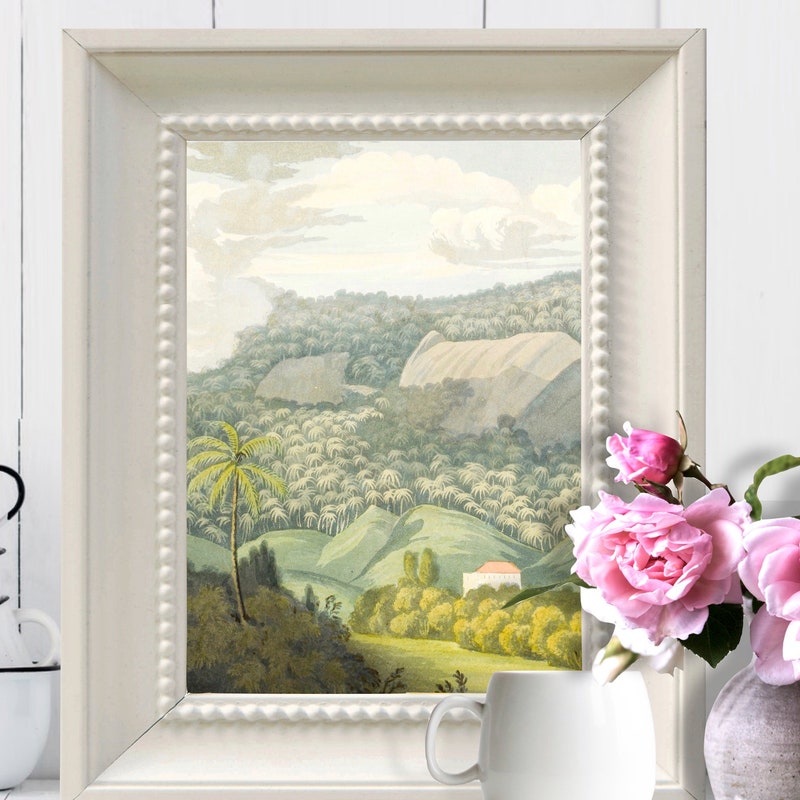 Brazilian Decor - Etsy