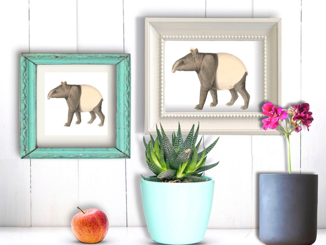 Tapir Wall Art, Tapir Art Print, PRINTABLE, Small Sizes, Vintage Animal ...
