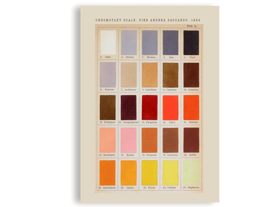 Vintage Botanical Color Chart Print: Antique Botanist Gift ...