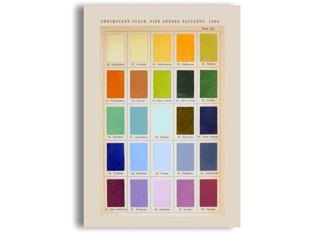 Botanical Color Chart Print: Antique Scientific Art (printable) - Etsy