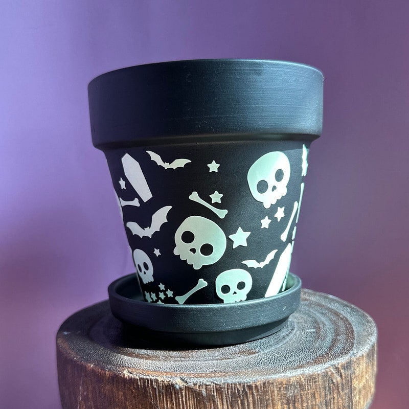 Skull Planter - Etsy