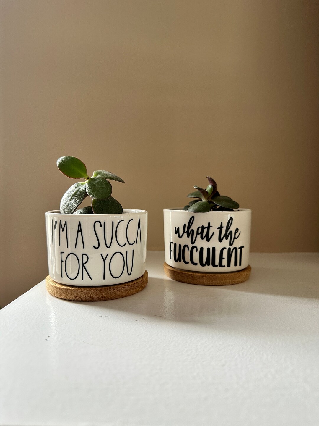 Funny Planters, Housewarming Planter, Plant Lover Gift, Desk Planter ...