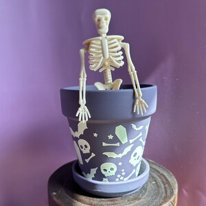 Skull Planter, Glow in the Dark Planter, Goth Home Decor, Spooky ...