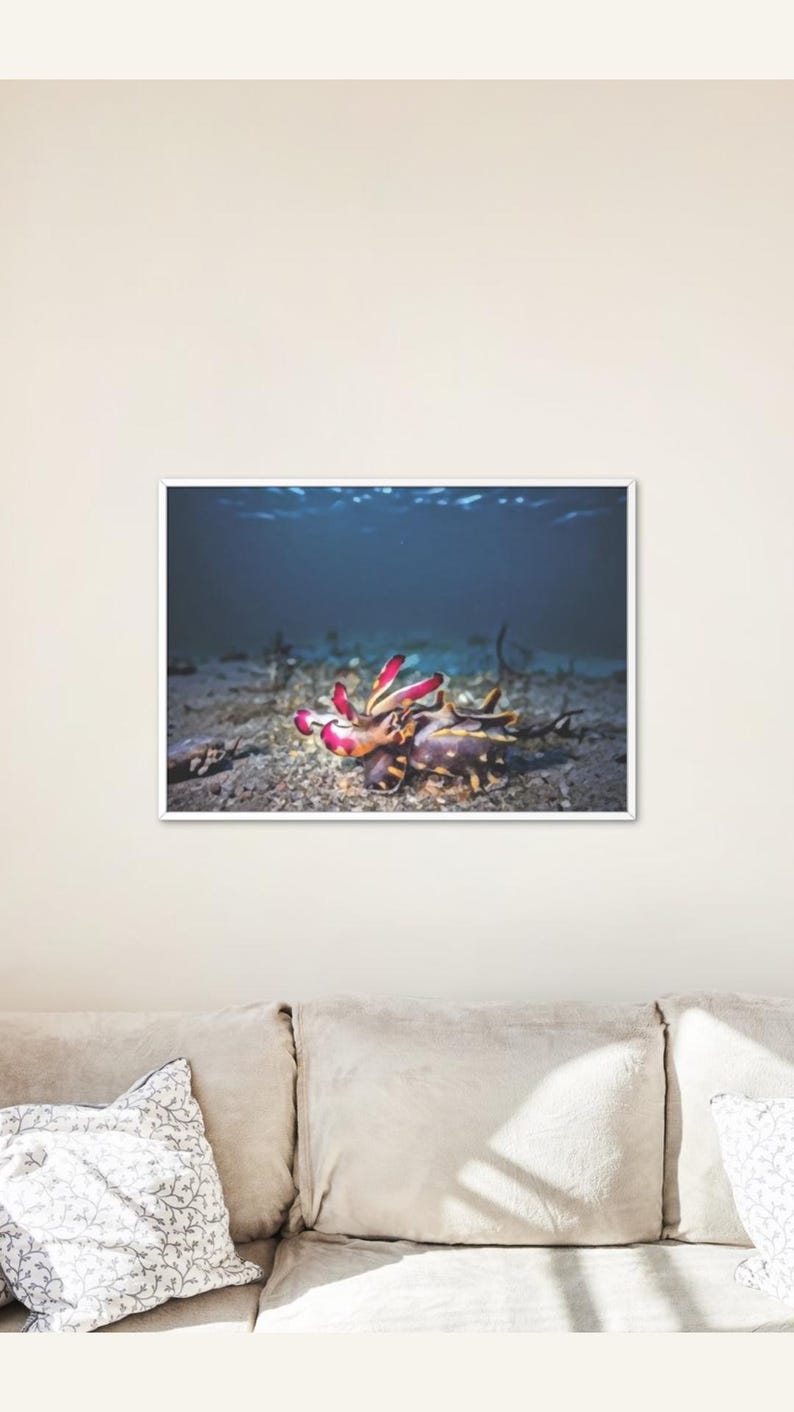 Cuttlefish Deep Sea Creatures Marine Life Artwork strider of the Sea ...