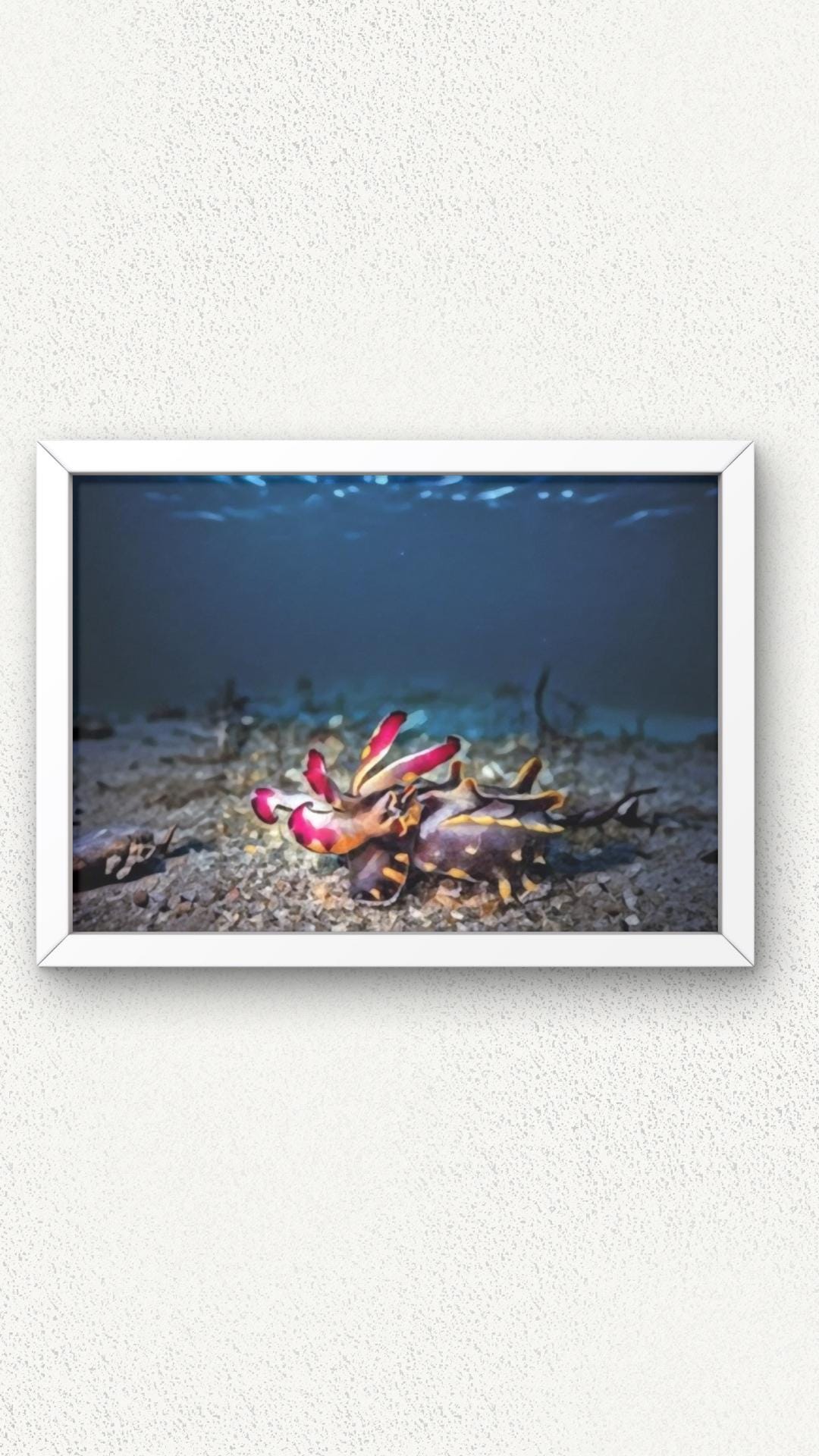 Cuttlefish Deep Sea Creatures Marine Life Artwork strider of the Sea ...