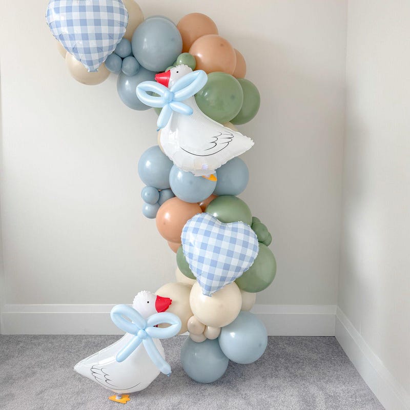 Silly Goose Birthday Party - Etsy