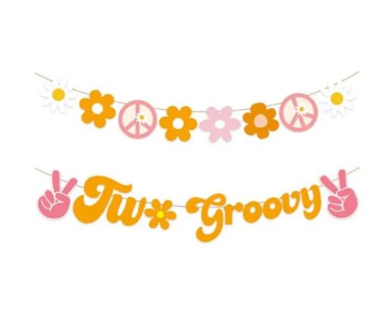 Two Groovy Pink Banner | Daisy Birthday Decoration | Groovy Vibe ...