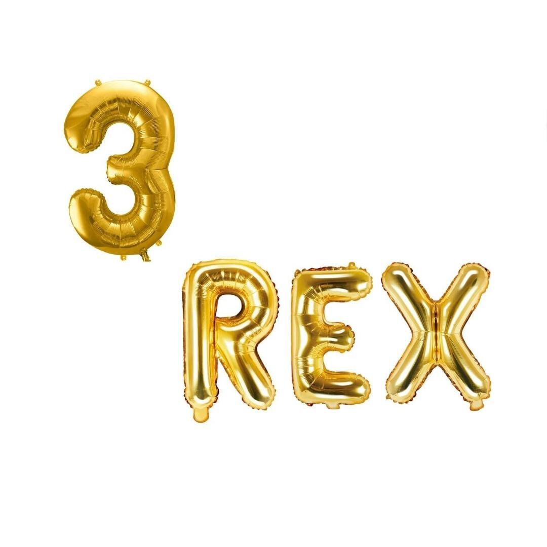 Three Rex Balloon Banner 3 Rex Balloons Giant T Rex Balloon - Etsy