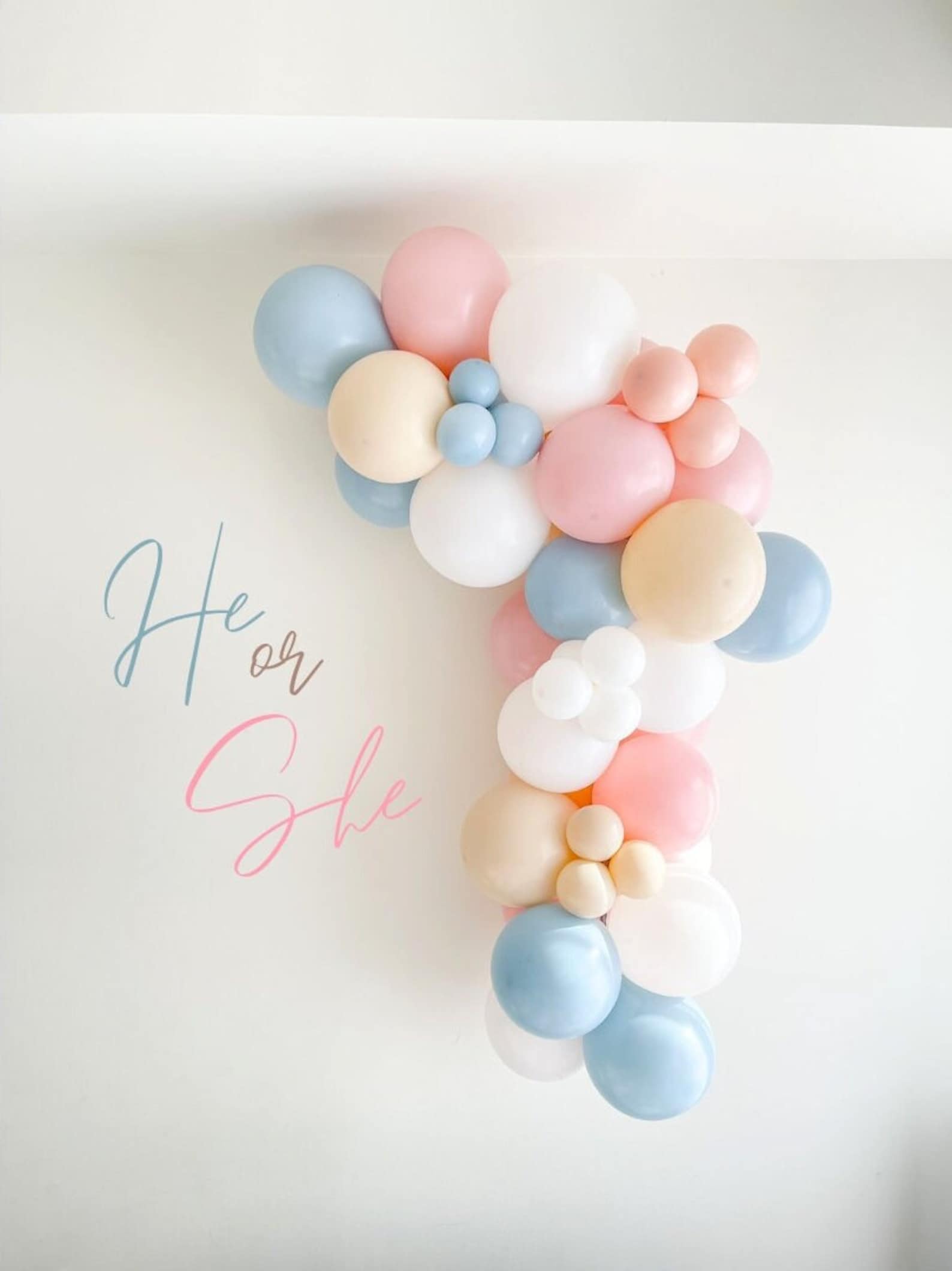 Muted Gender Reveal Balloon Garland Kit | Twinkle Gender Reveal Party ...