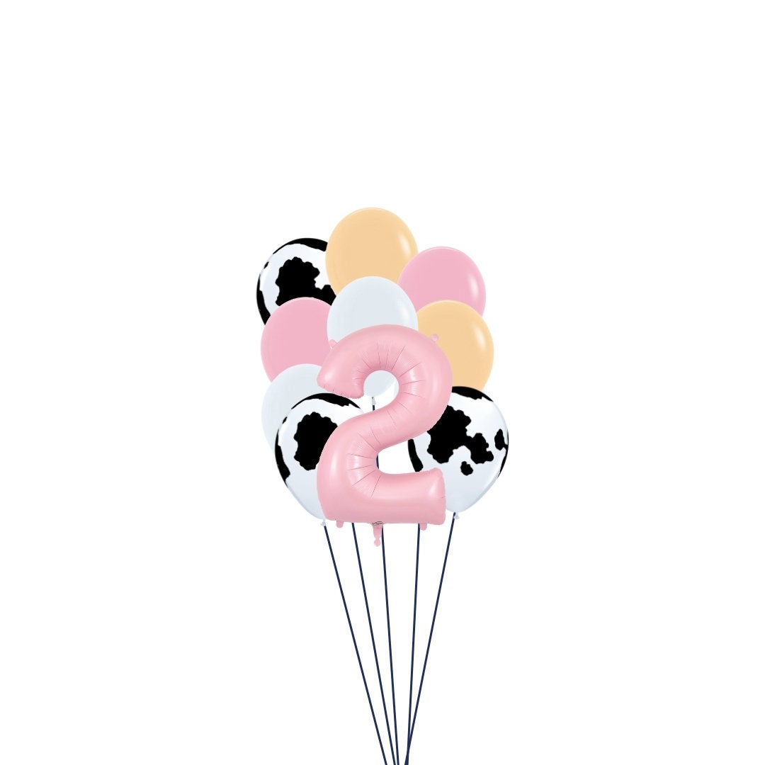 Cow Girl Giddy up Country Farm Themed Southern Pink DIY Balloon Bouquet ...