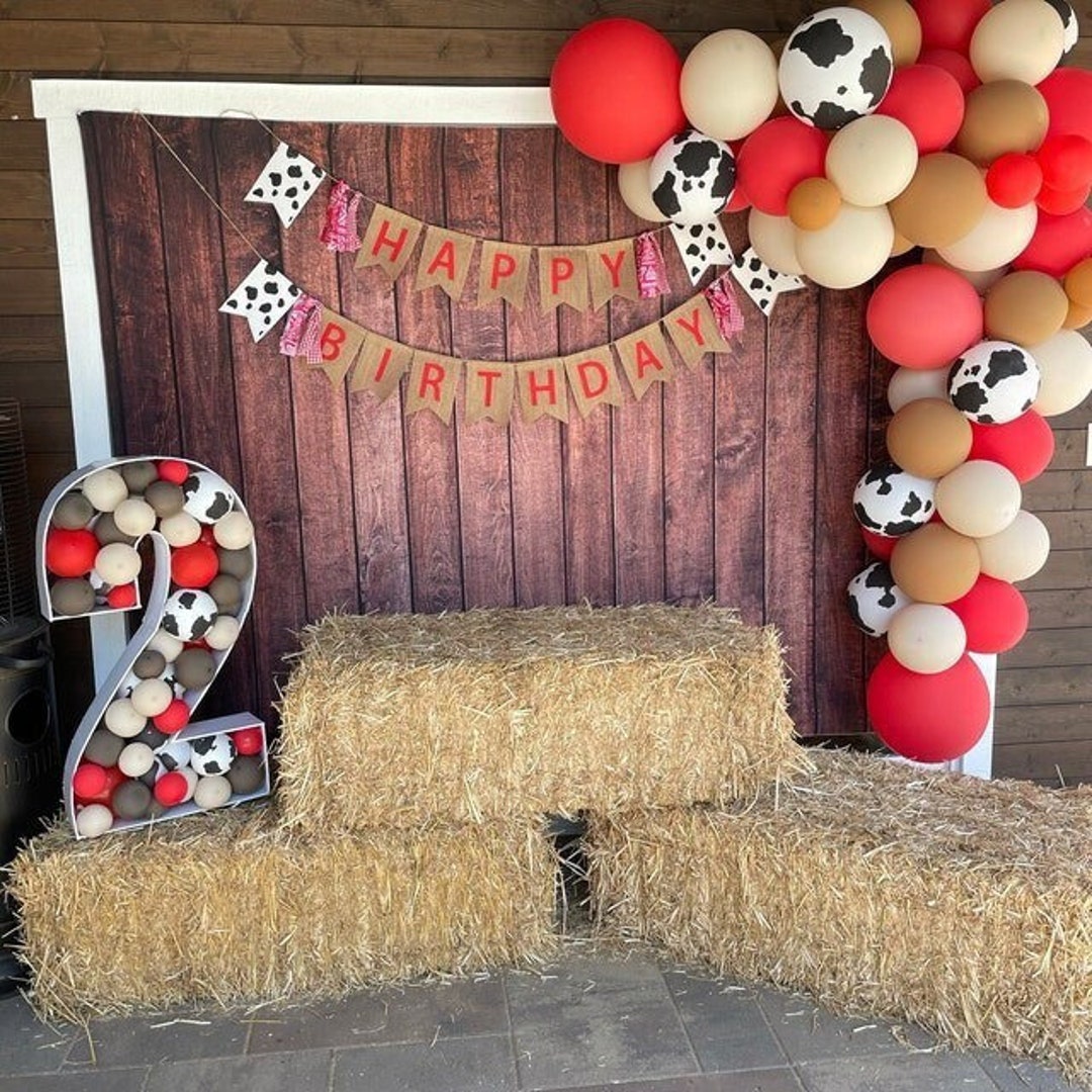 Holly Cow Country Farm Animal Themed Southern Retro Barn DIY Balloon ...