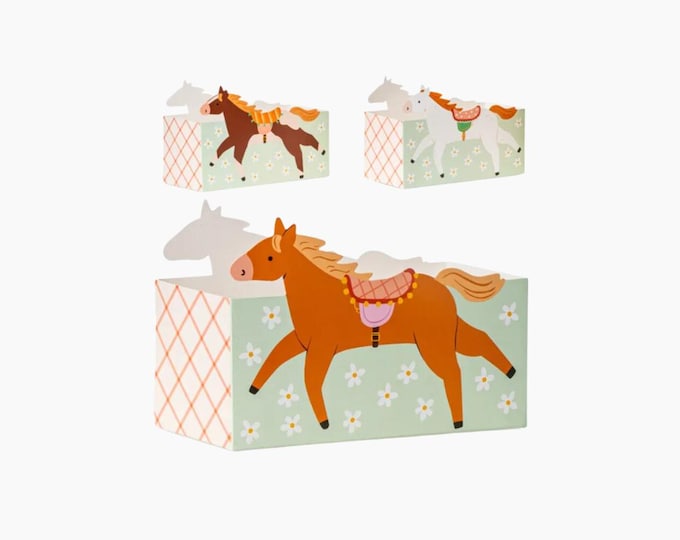Horse Snack Boxes | Pony Treat Boxes | Horses and Flowers Theme First ...