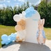 Classic Peter Rabbit Balloon Garland Peter Rabbit First Birthday Decor ...
