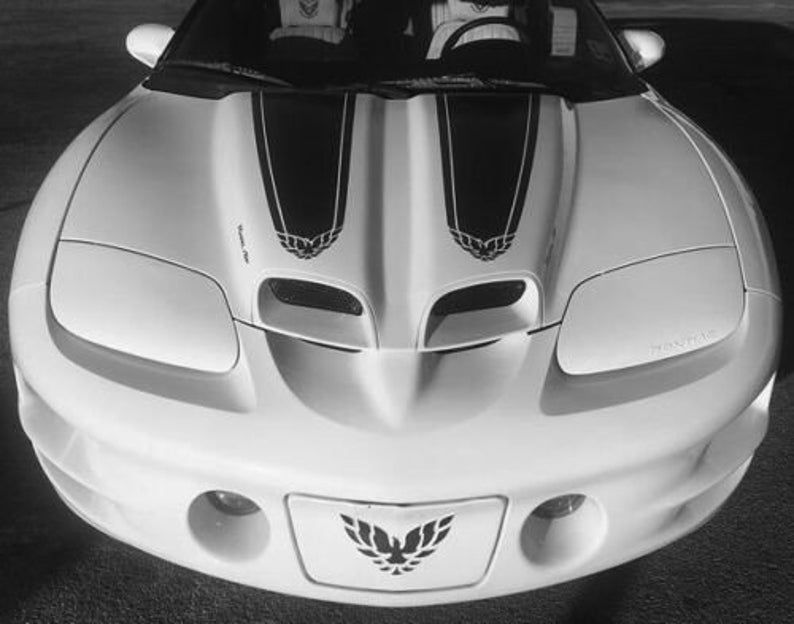 Rally Stripe Fits: 1998-2002 Trans Am Firebird Decal 30th Anniversary ...