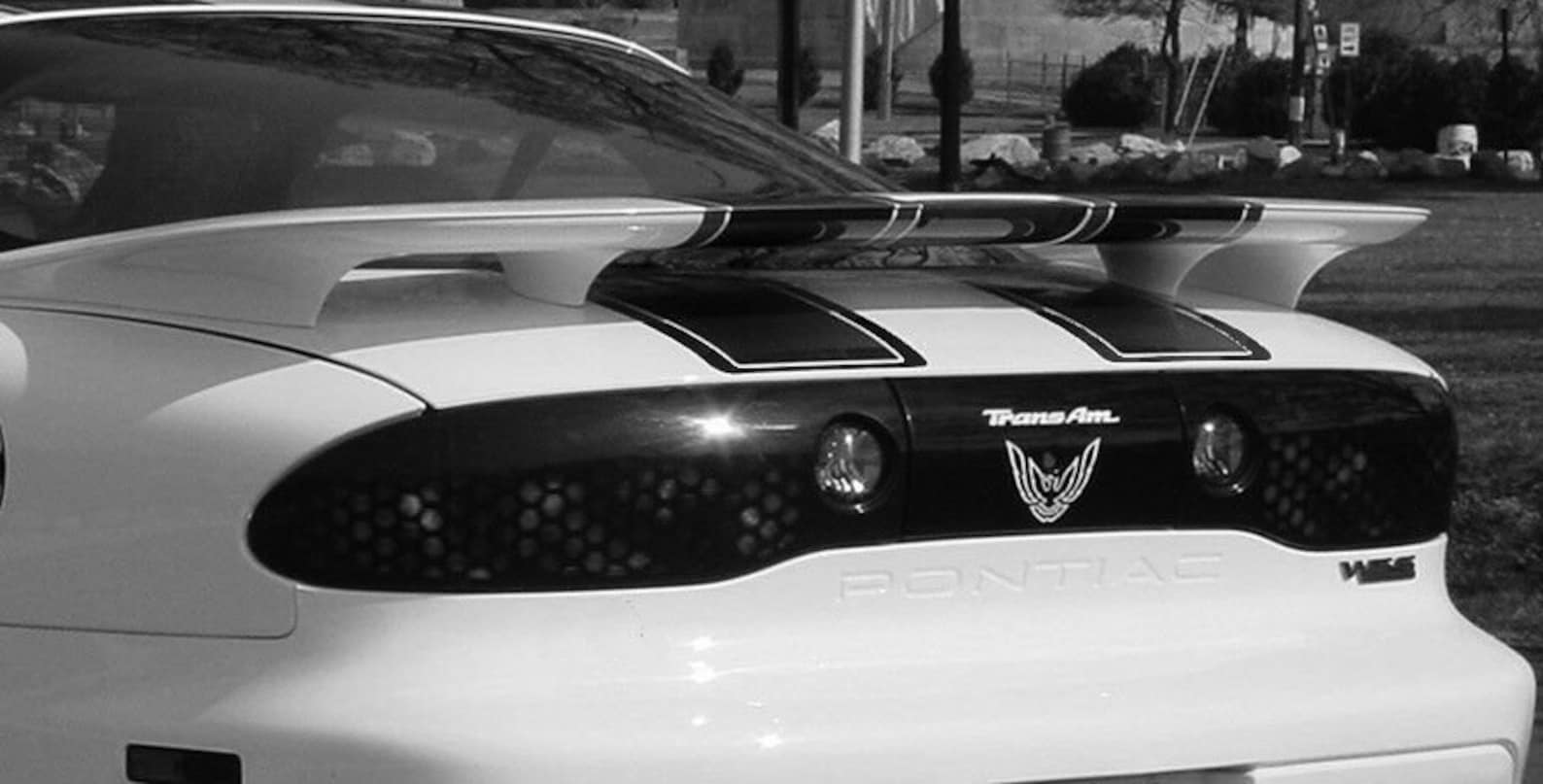 Rally Stripe Fits: 1998-2002 Trans Am Firebird Decal 30th Anniversary ...