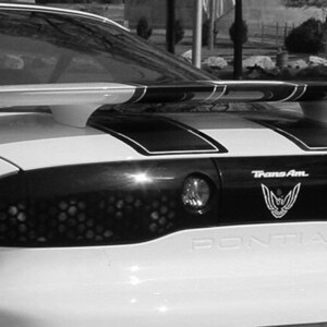 Rally Stripe Fits: 1998-2002 Trans Am Firebird Decal 30th Anniversary ...