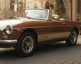 1974-1980 MG MGB Lower Rocker Side Stripe Decal Graphic Kit GT Roadster ...