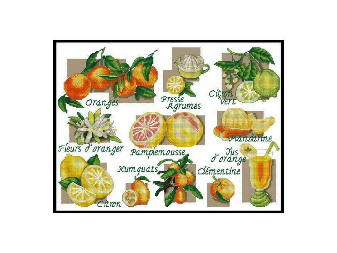 Citrus Fruits Cross Stitch Pattern: Orange, Lemon, Juice (PDF Pattern ...