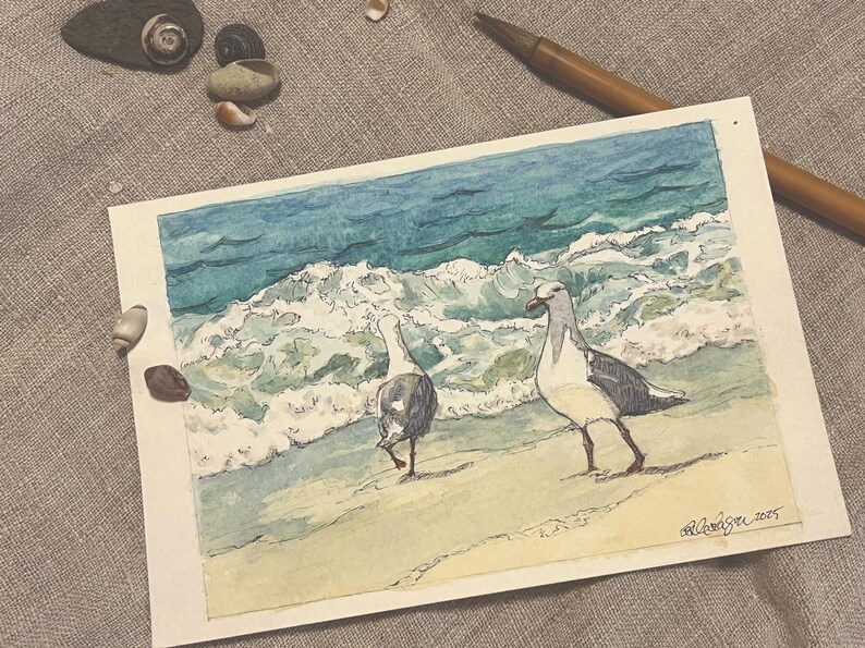 San Diego Sea Gull Original Art Work Watercolor and Ink Seagull ...