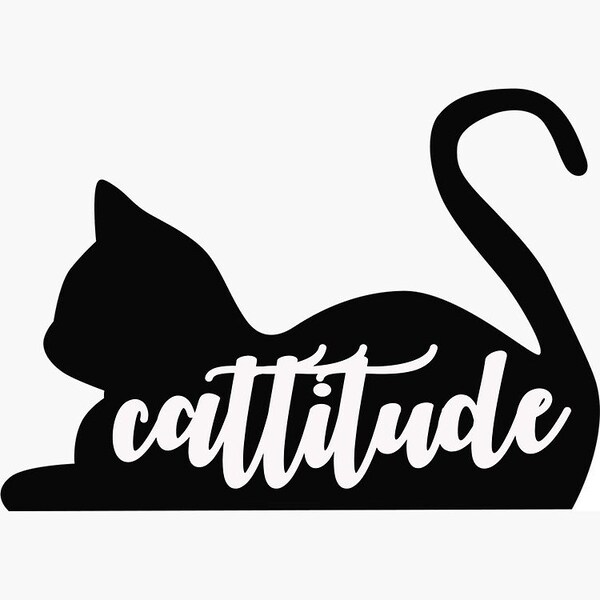 Cat Bumper Sticker - Etsy