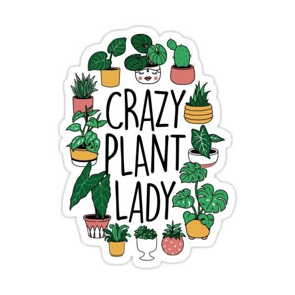 Crazy Plant Lady Sticker Decal - Etsy