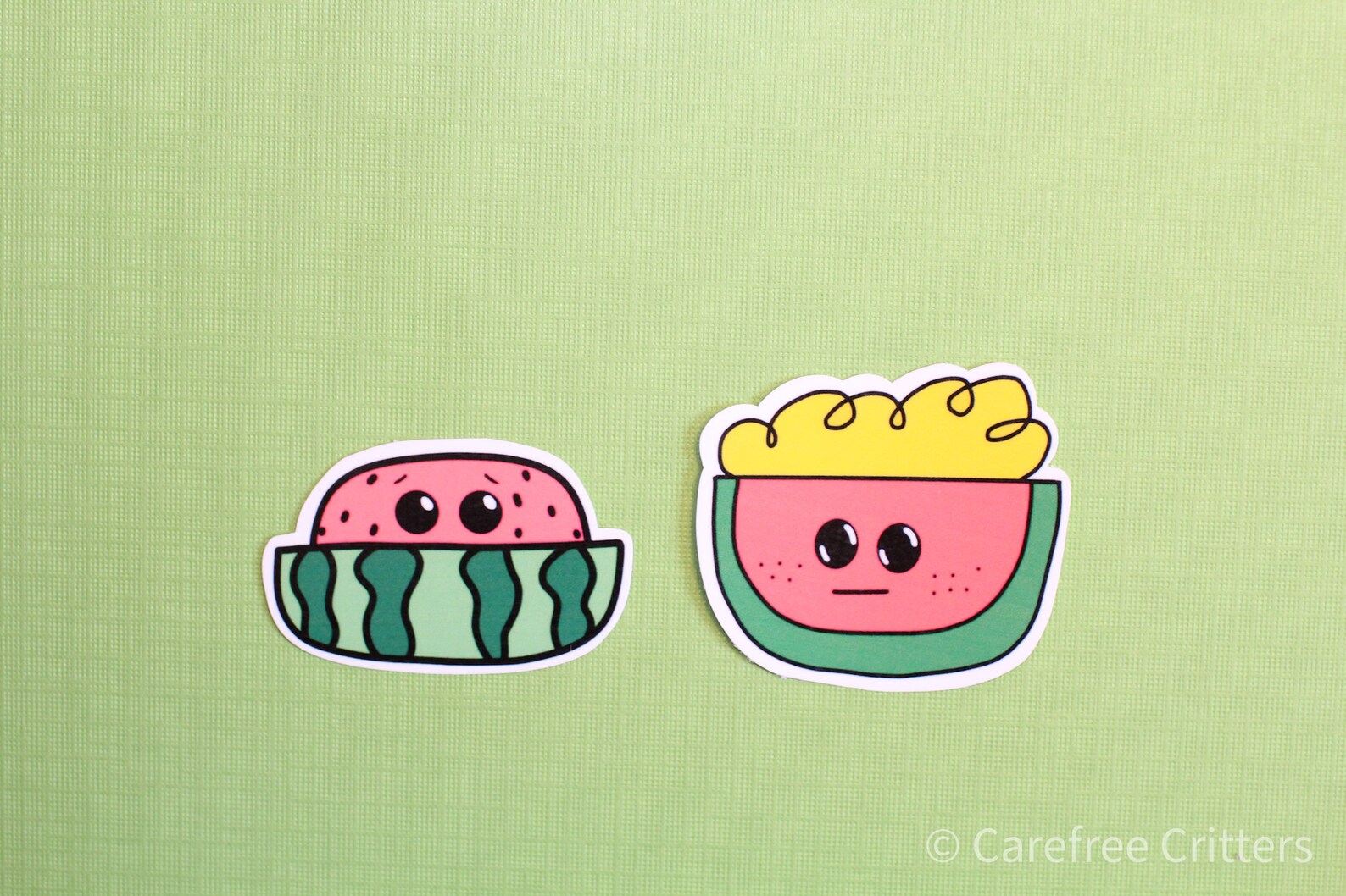 Watermelon Sticker Collection - Etsy